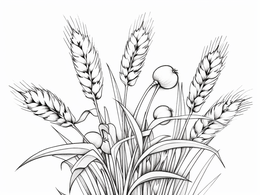 Cute And Easy Grains Coloring - Coloring Page